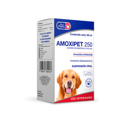 AMOXIPET 250 60 ML - Pets Pharma